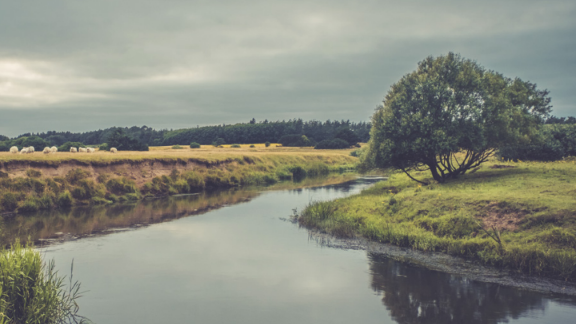 The Minister of the Environment must step on the nitrogen brake while ...