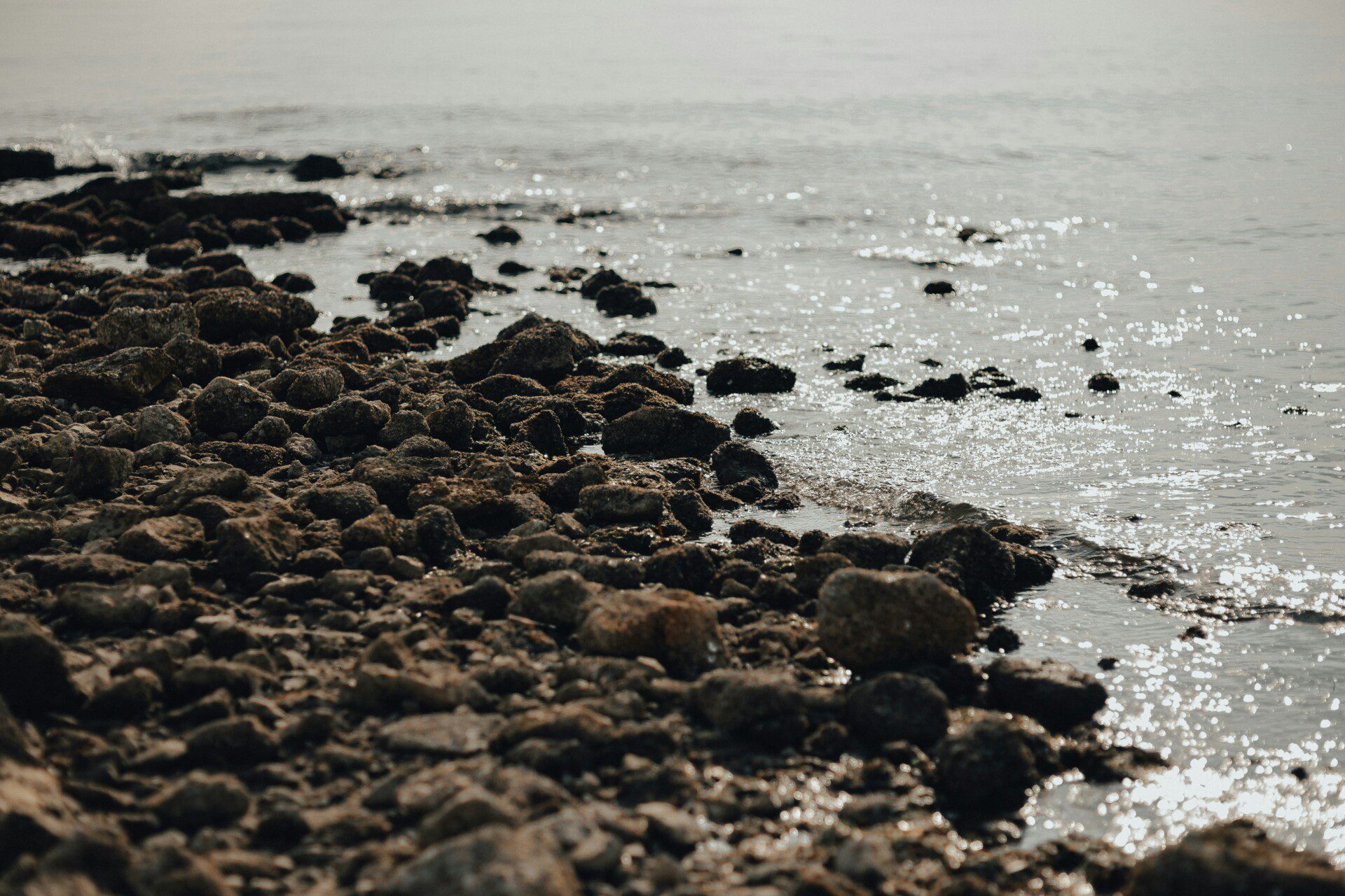 Green Transition Denmark